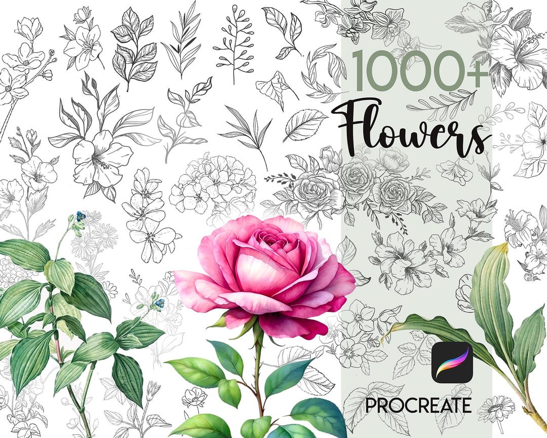 Procreate Flower Stamps Procreate Leaves Procreate Floral Tattoo Design ...