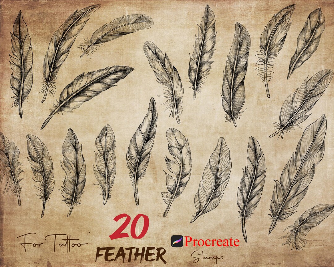 Procreate Feather Brush : Realistic Tattoo Brushset Procreate Birds ...