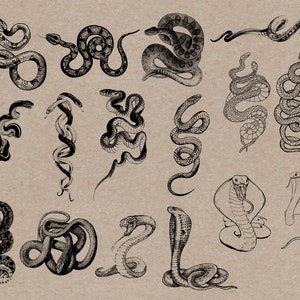 100 Procreate Snake Stamps, Snakes for Tattoo, Procreate Realistic ...