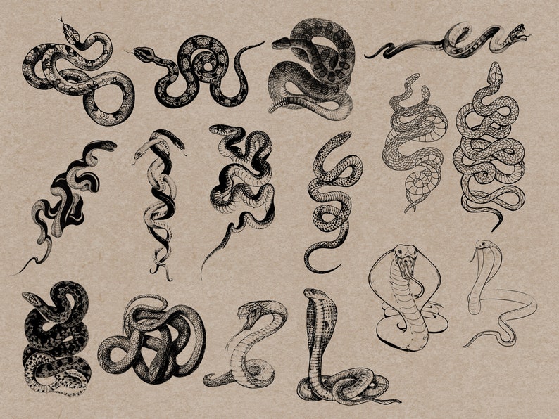 100 Realistic Snake Procreate Stamps: Tattoo & Horror Brushes (digital ...