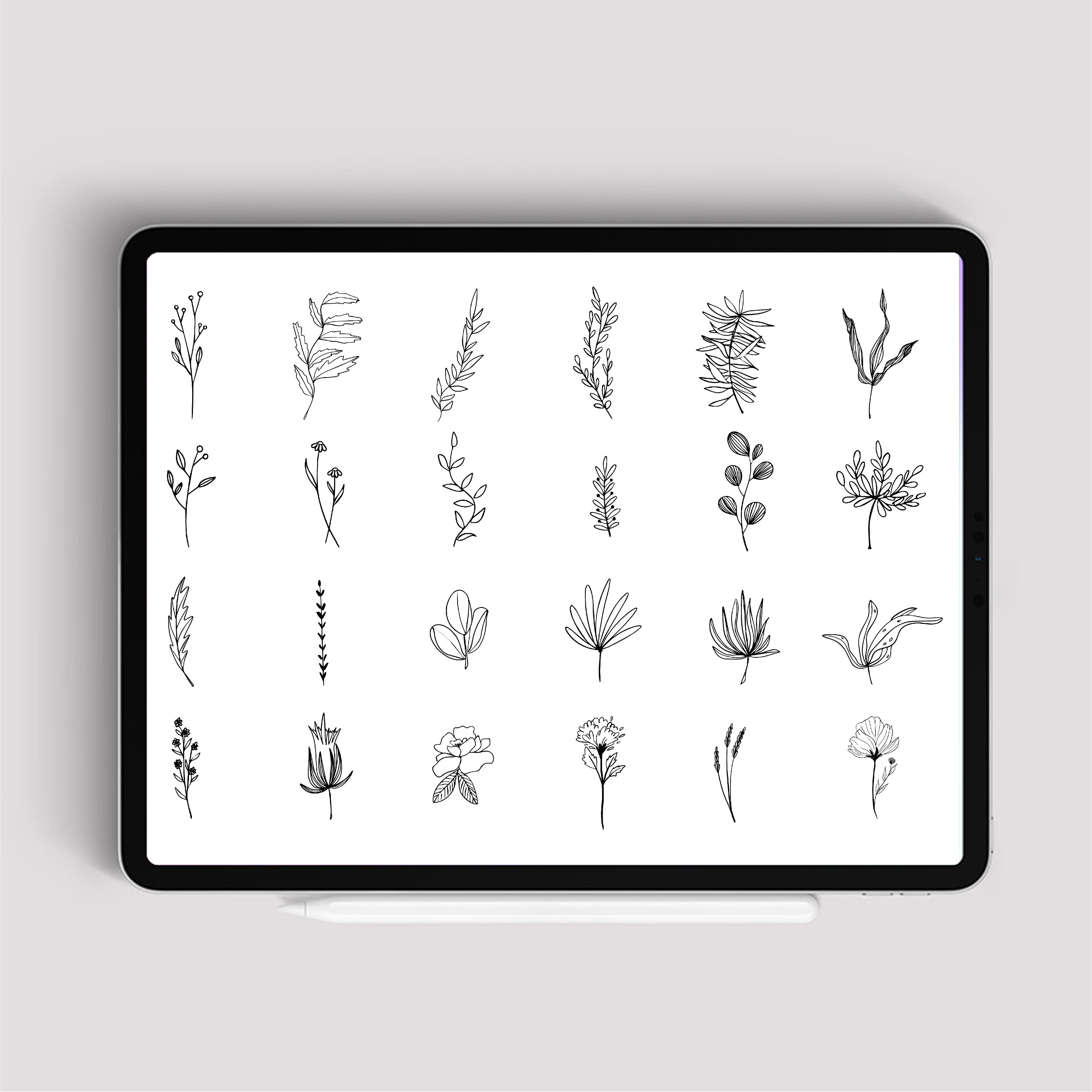 Drawing & Illustration Procreate 100 Botanical Stamps Brush Shapes ...