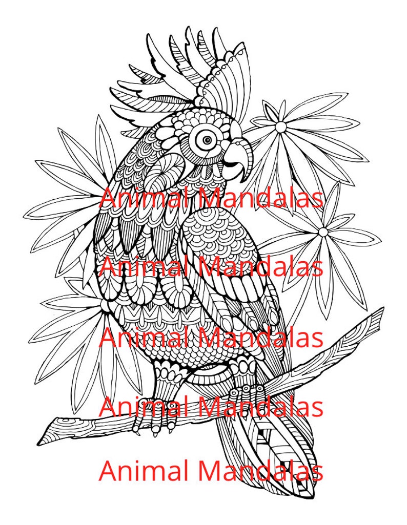 30 Beautiful Bird Mandalas Printable Digital Coloring Book PDF - Etsy