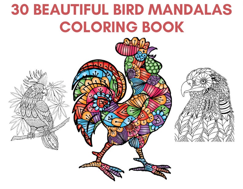 30 Beautiful Bird Mandalas Printable Digital Coloring Book - PDF - Etsy