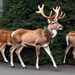 Santa's Reindeer Download Digital Files - Etsy Canada