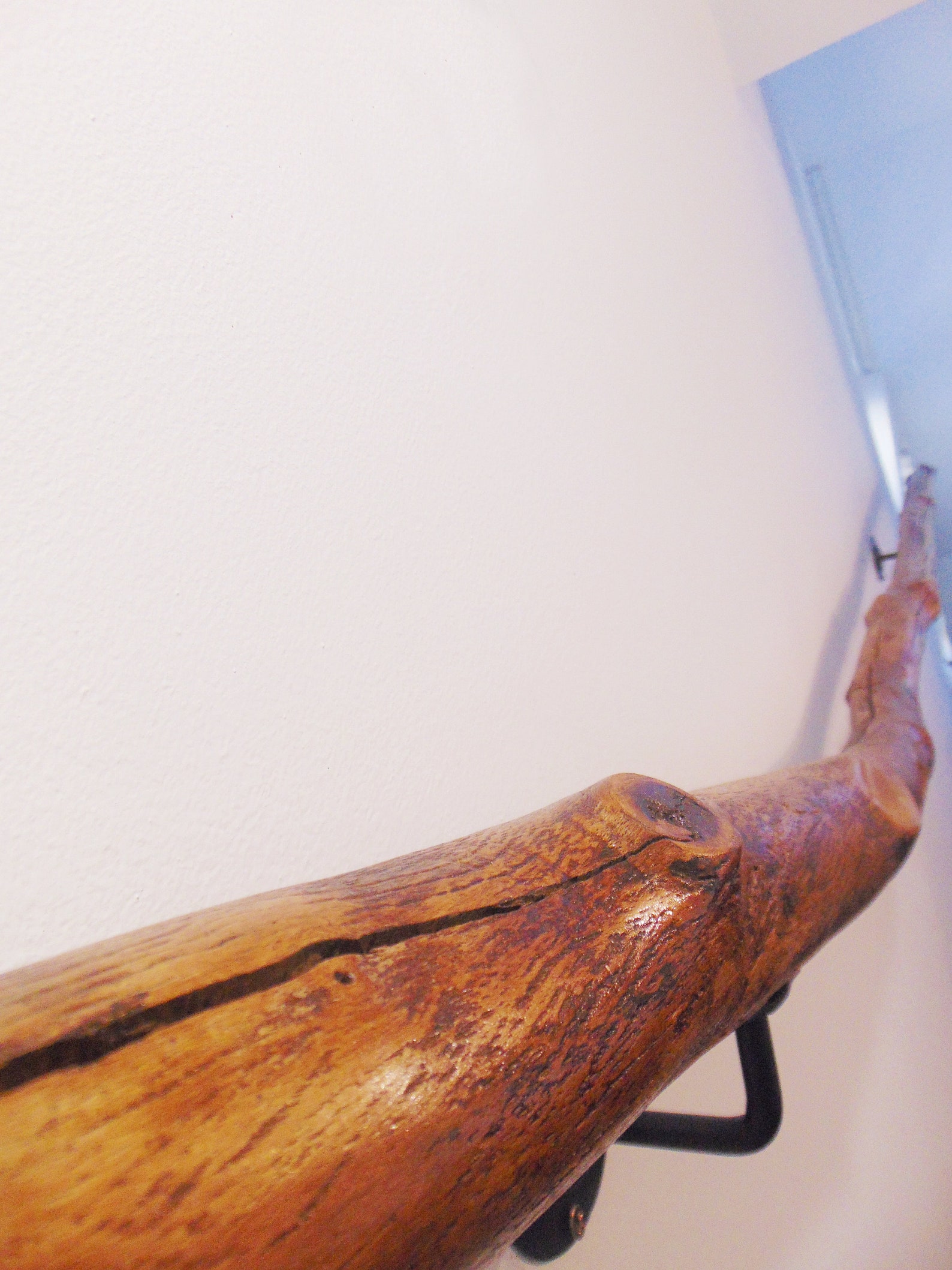 Natural Branches Handrails Hanging Branches on the Wall - Etsy