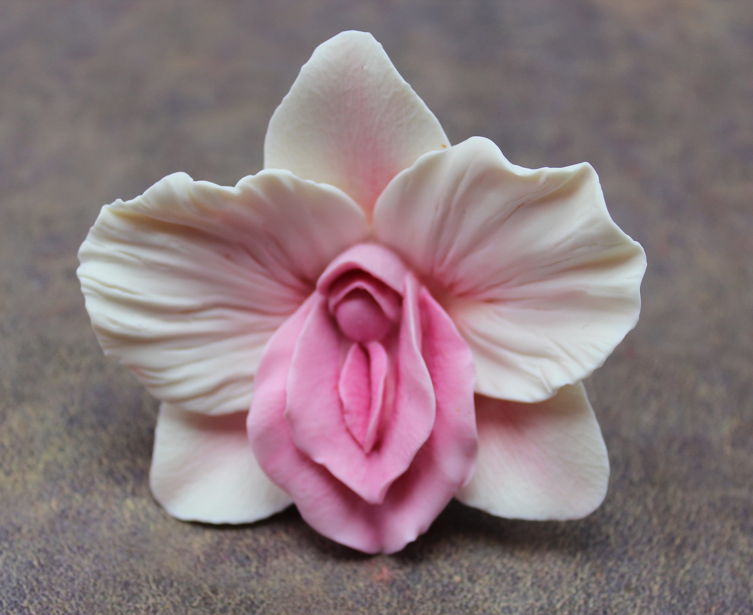 Vulva Orchid Silicone Mold Vagina Mold Yoni Mold Etsy Uk