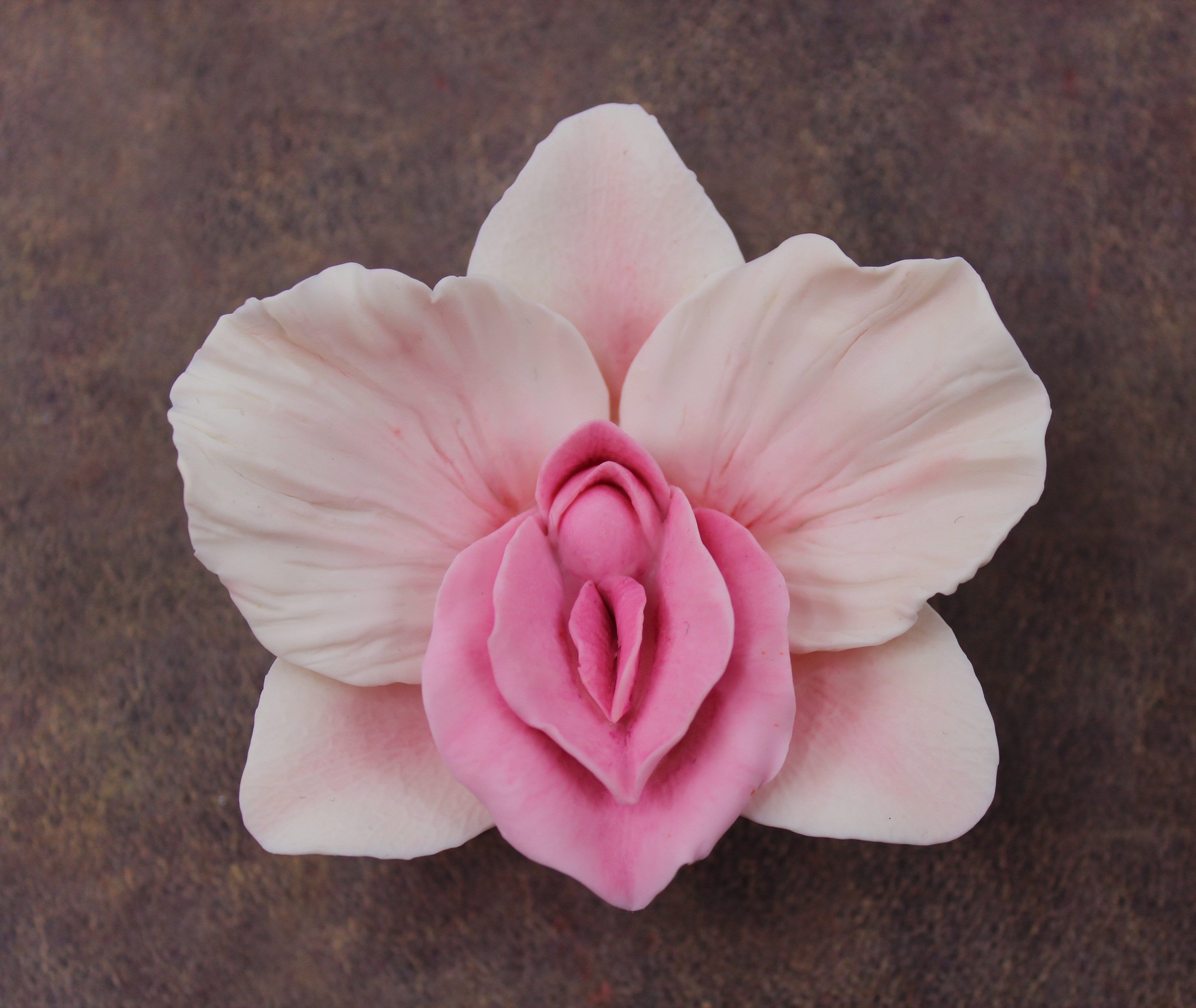 Vulva Orchid Silicone Mold Vagina Mold Yoni Mold Etsy Uk