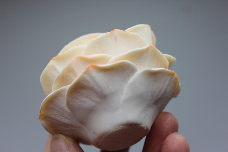 Vulva Rose Flower Silicone Mold Vagina Mold Yoni Mold Etsy