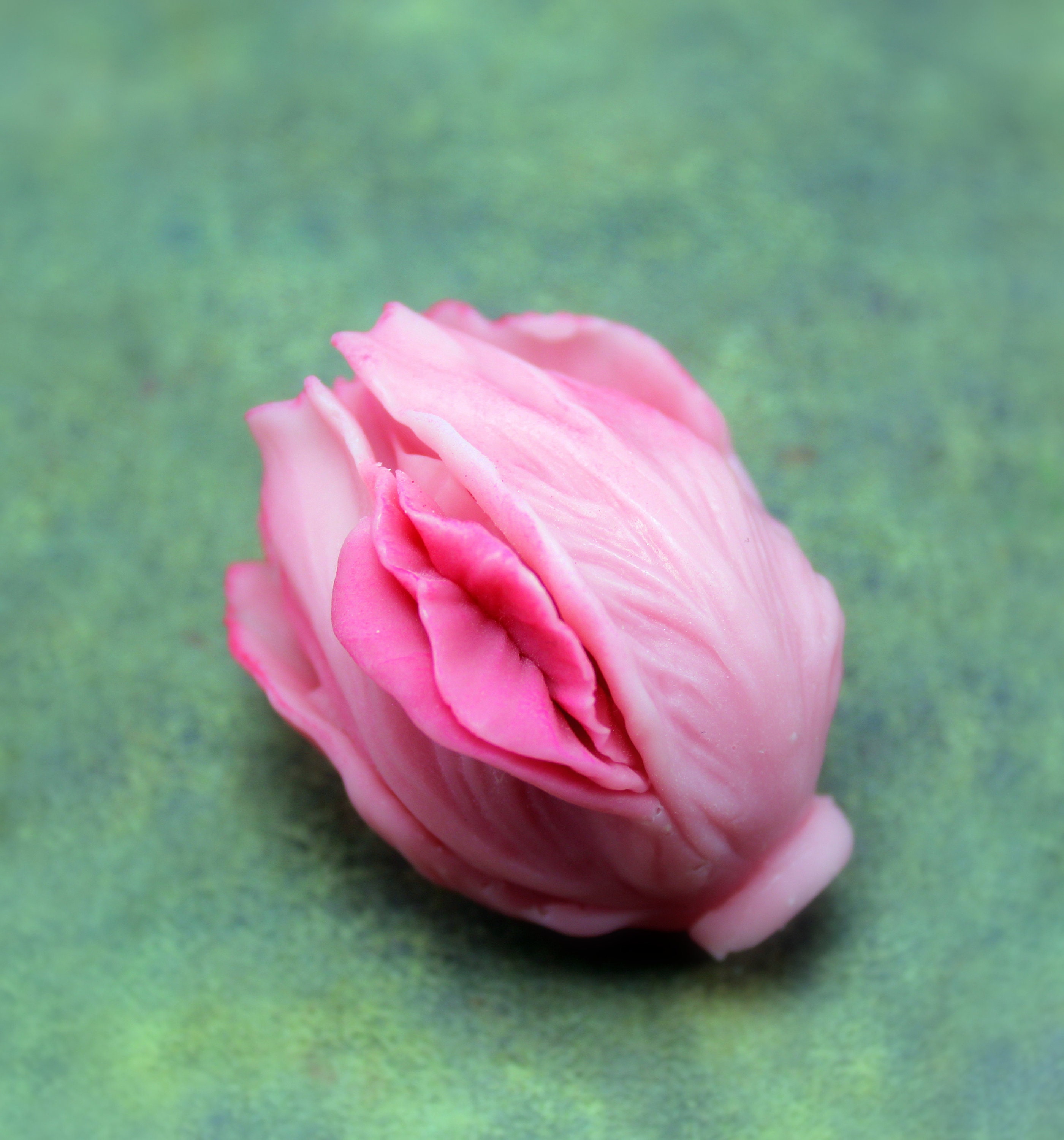 Yoni Flower Silicone Mold. Vulva Tulip Mold. Vagina Mold. | Etsy