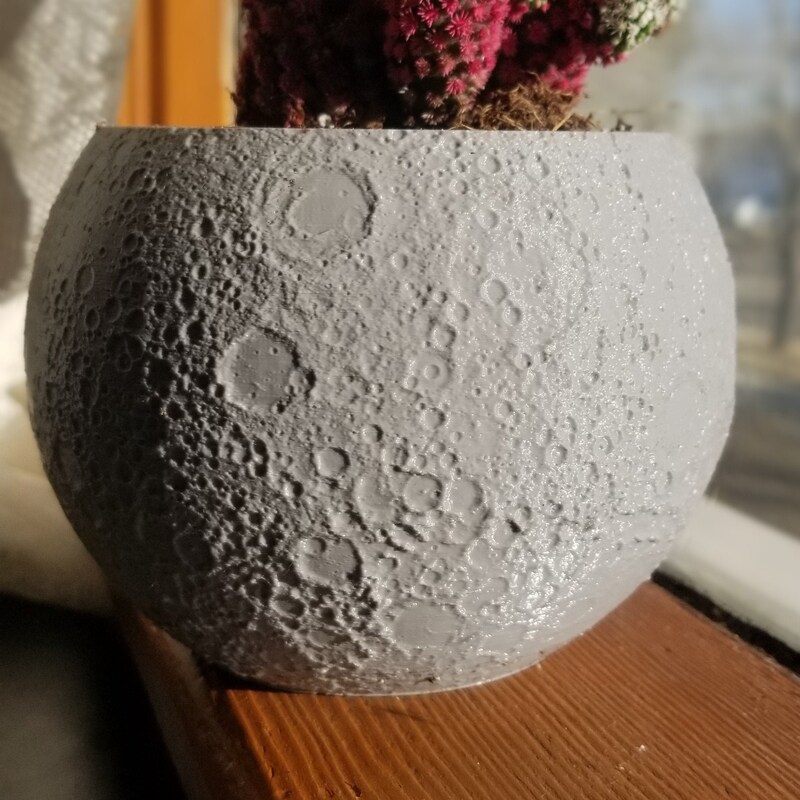 Moon Plant Pot - Etsy
