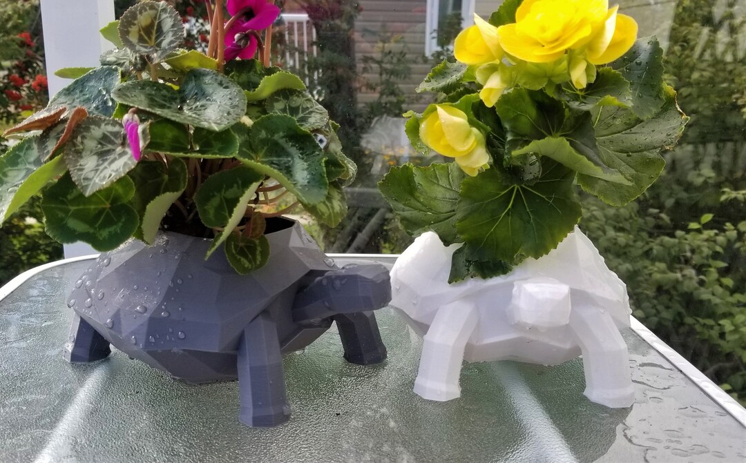 Low Poly Turtle/tortoise Shell Planter - Etsy