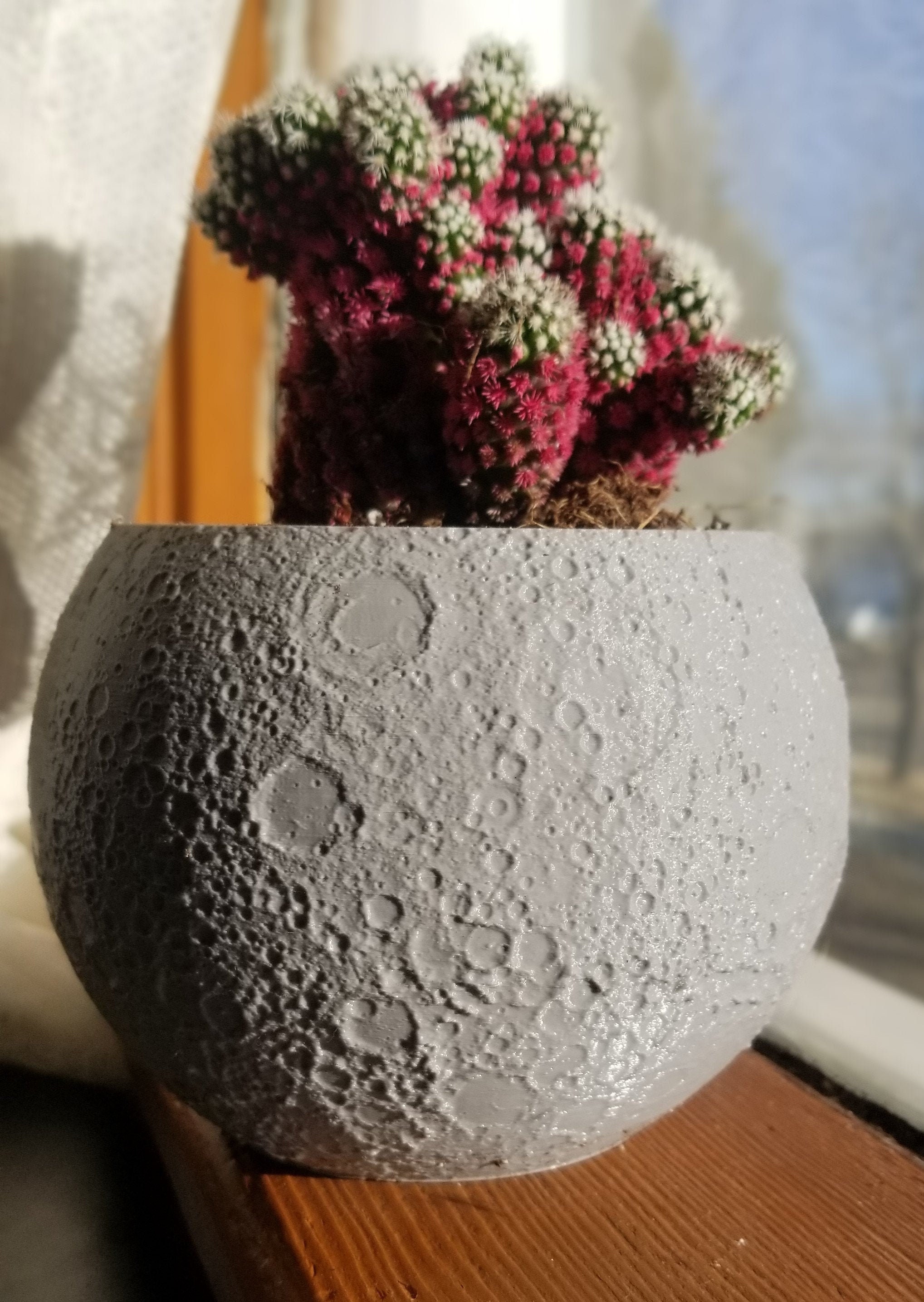 Moon Planter Pot | Etsy