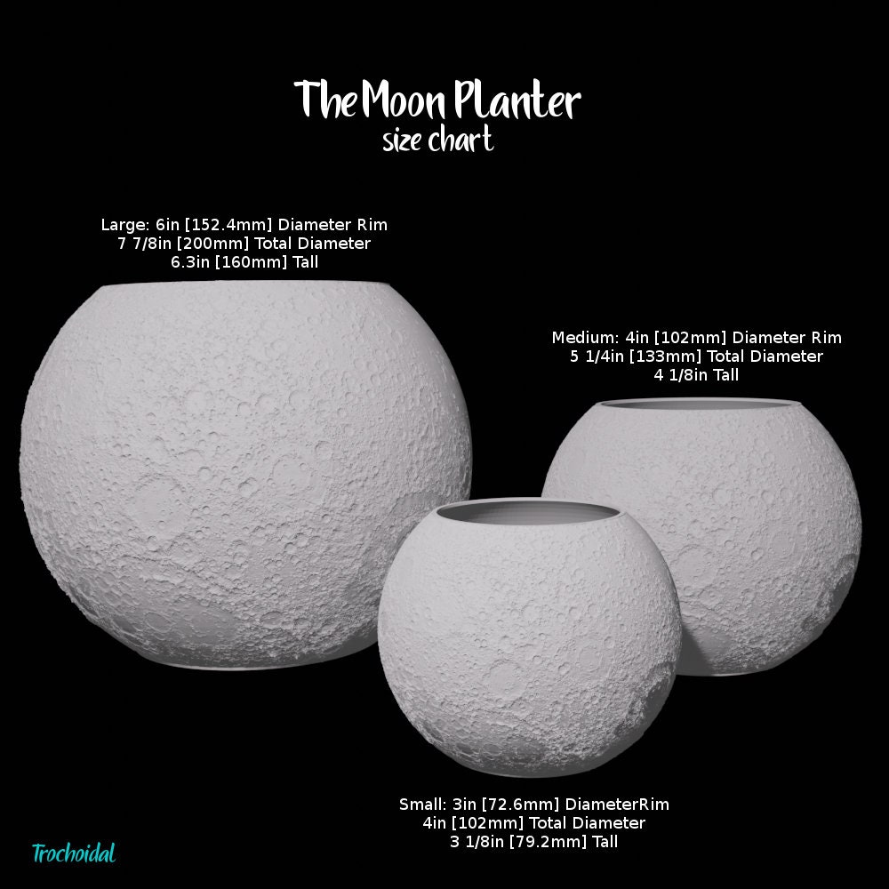 Moon Planter Pot | Etsy