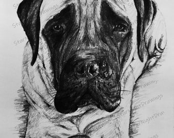 Mastiff Drawing | Etsy