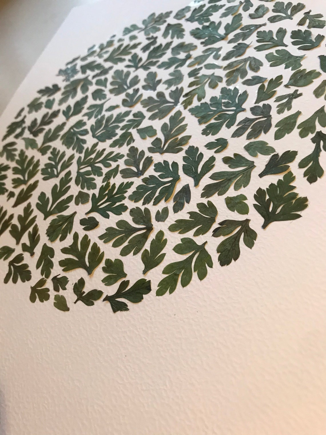 Tableau de feuilles séchées. | Etsy Tableau de feuilles séchées. | Etsy