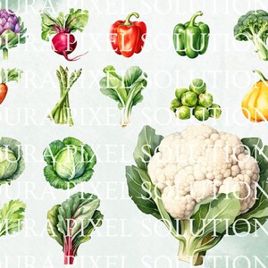 50 Vegetables Watercolor Clipart Bundle | High-resolution Images ...