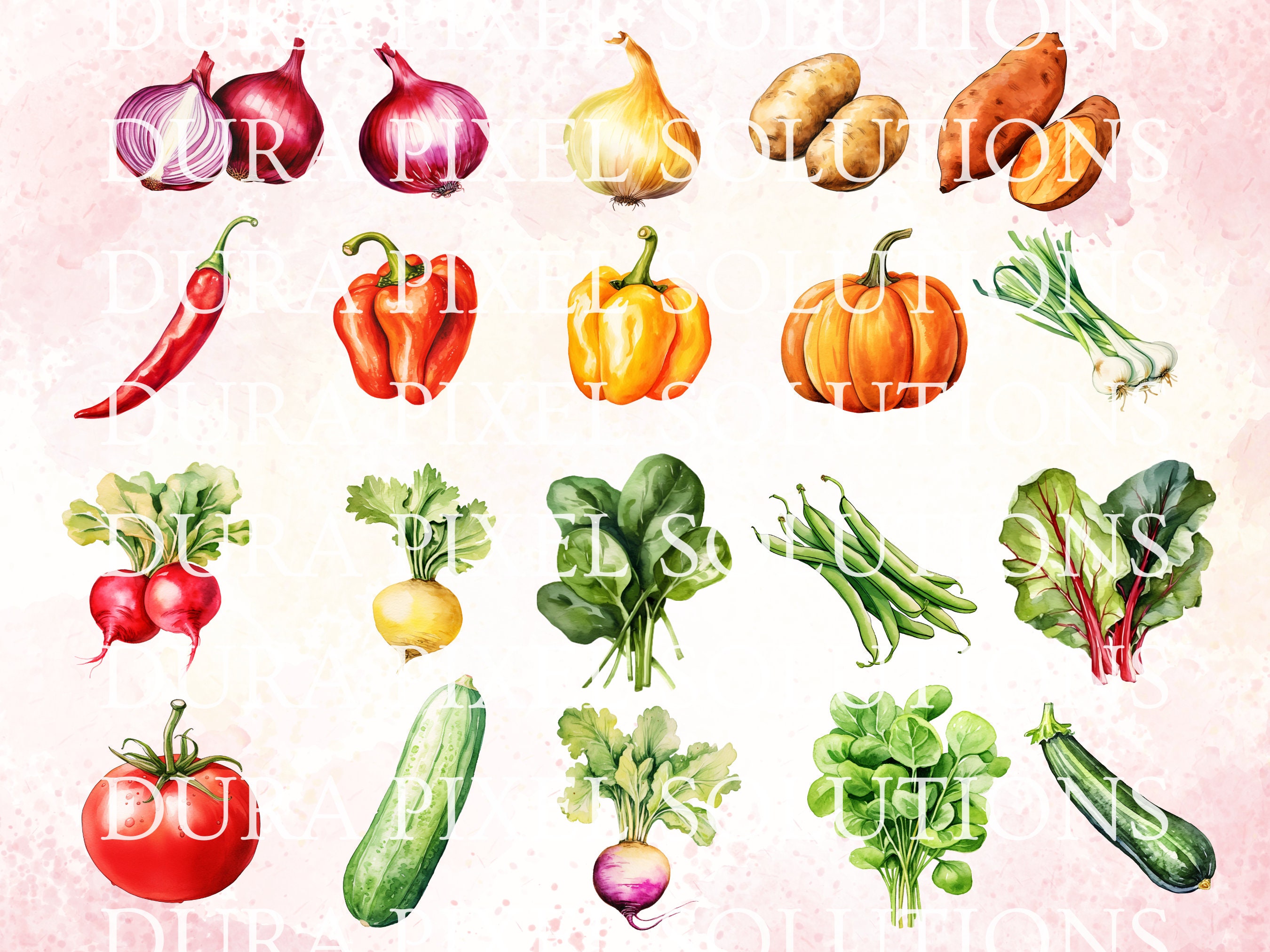 50 Vegetables Watercolor Clipart Bundle | High-resolution Images ...