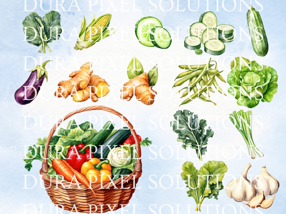 50 Vegetables Watercolor Clipart Bundle | High-resolution Images ...