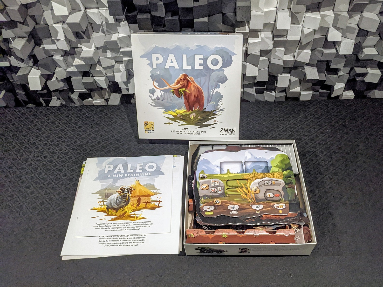 STL Files for Paleo Compatible Insert, Fits Expansion, Sleeved Cards - Etsy