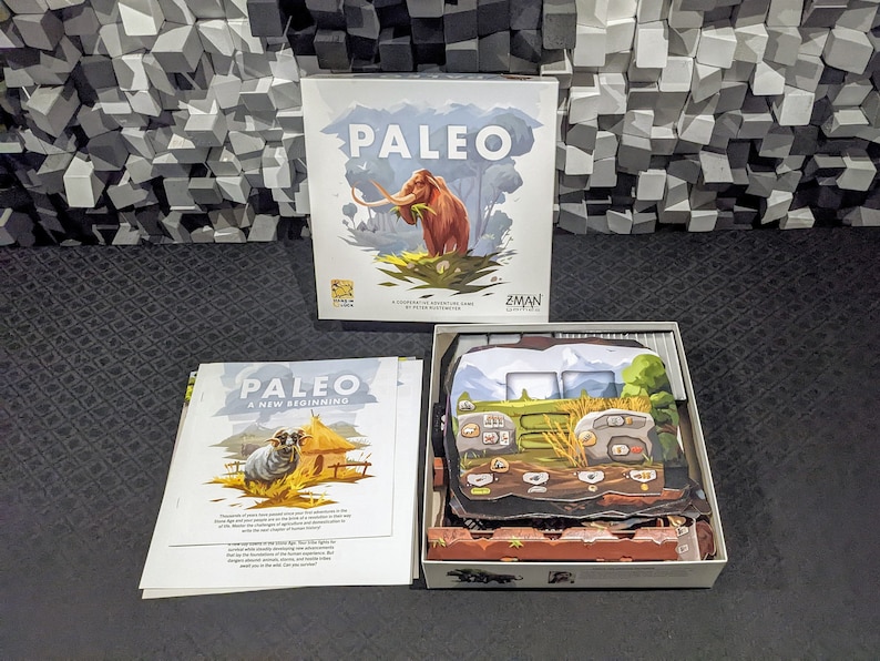STL Files for Paleo Compatible Insert, Fits Expansion, Sleeved Cards - Etsy