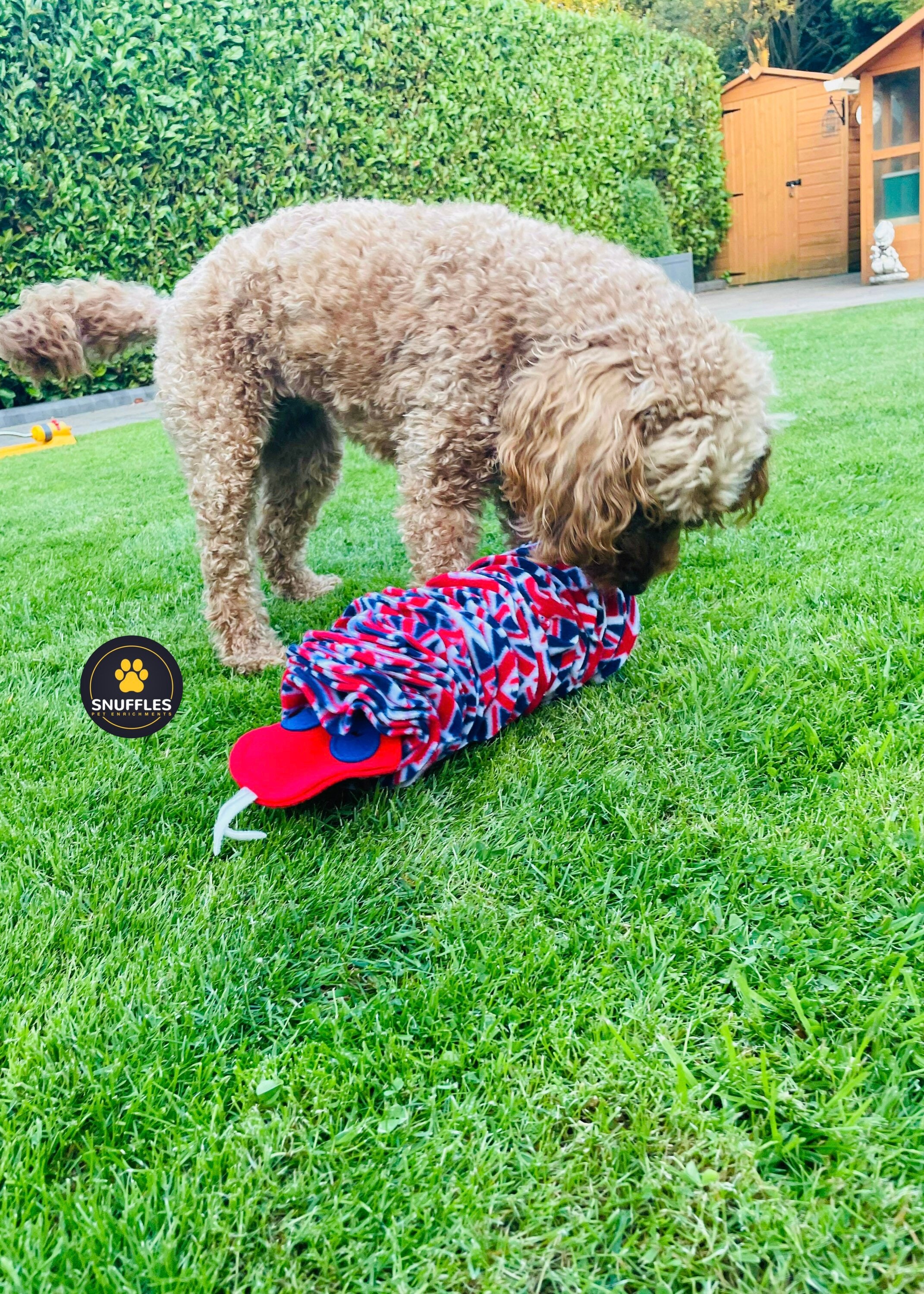 Large Snuffle Snake Interactive Fun Dog Puzzle Long - Etsy UK