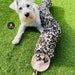 The Metre Long Snuffle Snake | A Long Lasting Slow Feeder | Dog ...