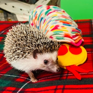 Small Snuffle Snake | Fun Enrichment Activity |slow Feeder | for Rabbits | Hedgehogs | Cats ...