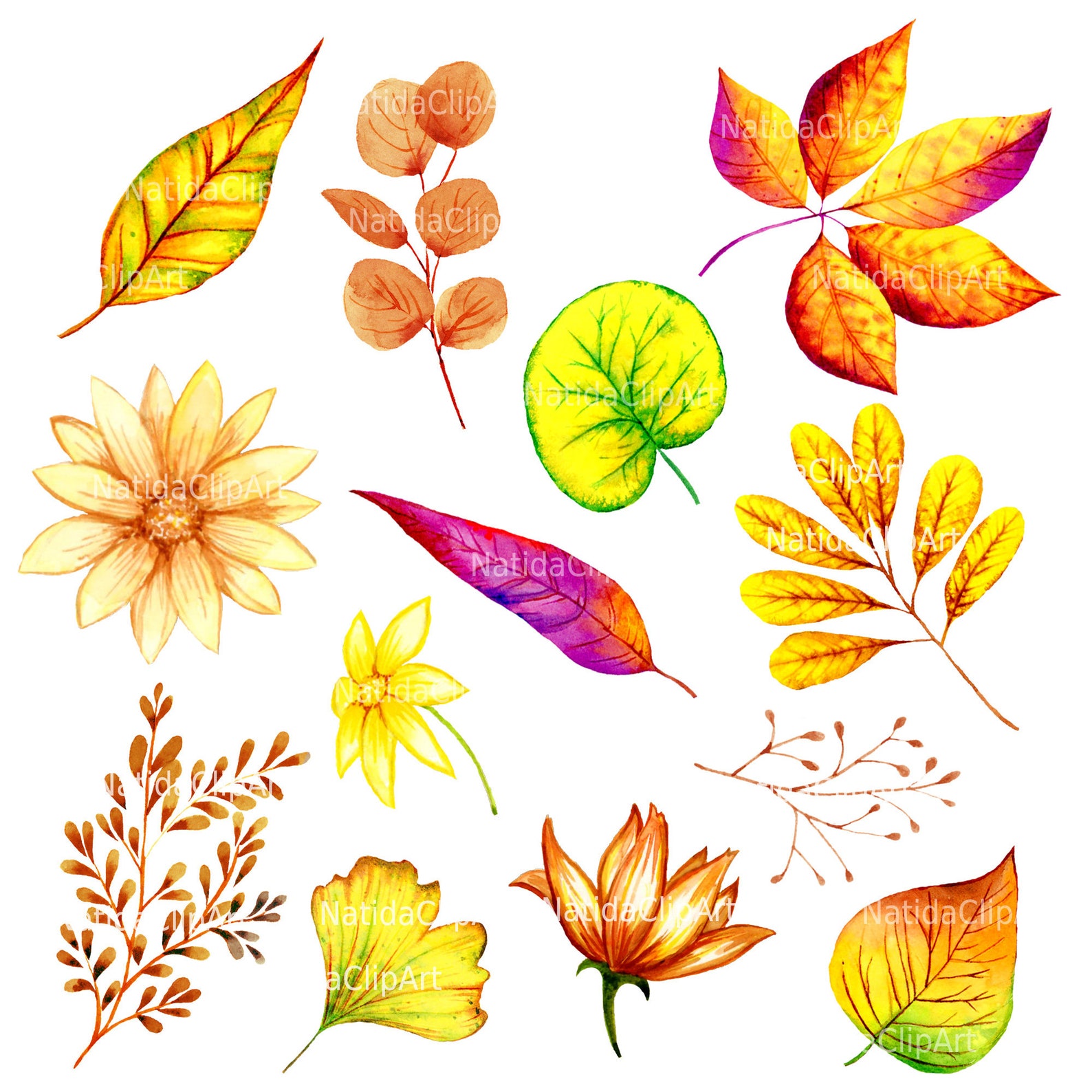 Autumn Leaves Clipart, Watercolor Autumn Leaf Clipart, Fall Leaves ...