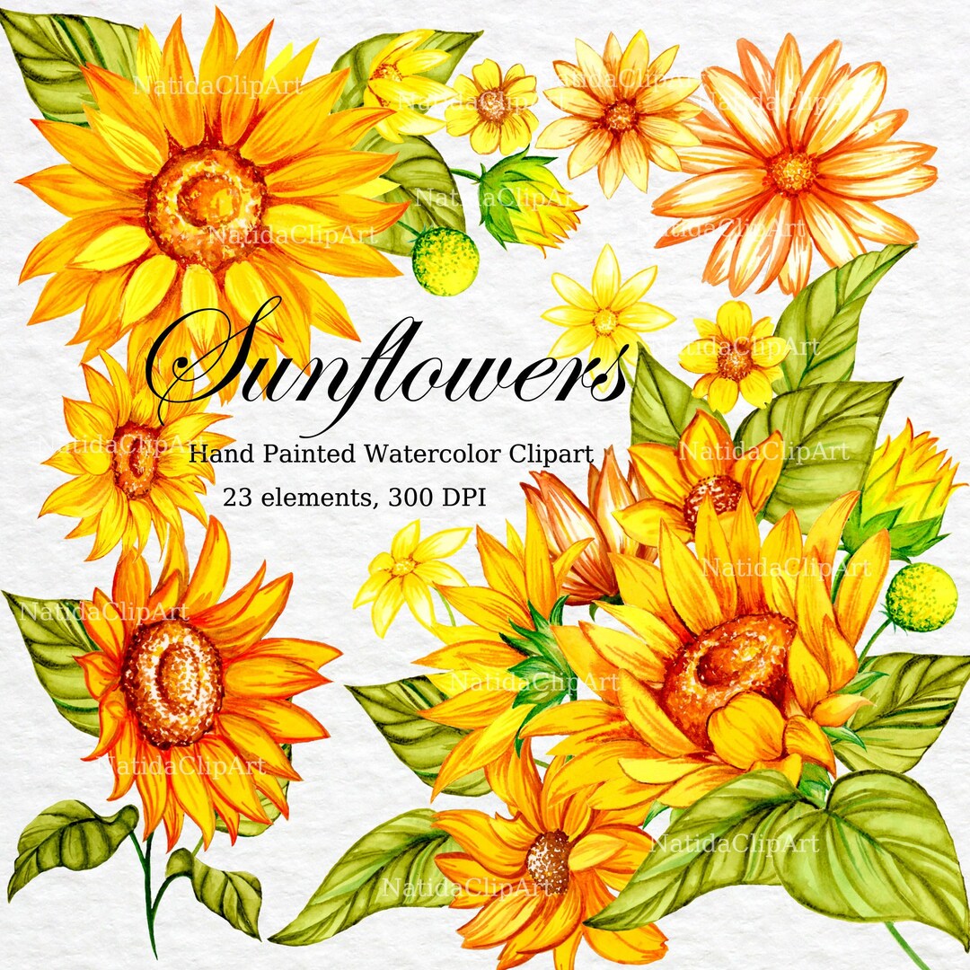 Watercolor Sunflowers Clipart, PNG Sunflowers Composition, Floral,frame ...
