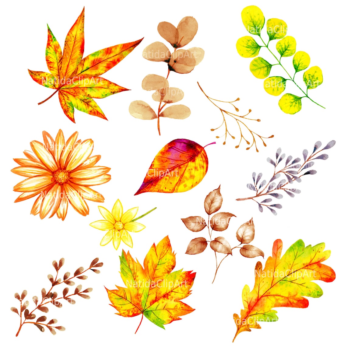 Autumn Leaves Clipart, Watercolor Autumn Leaf Clipart, Fall Leaves ...