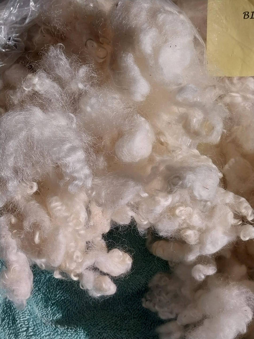 Gotland White Washed Fleece - Etsy