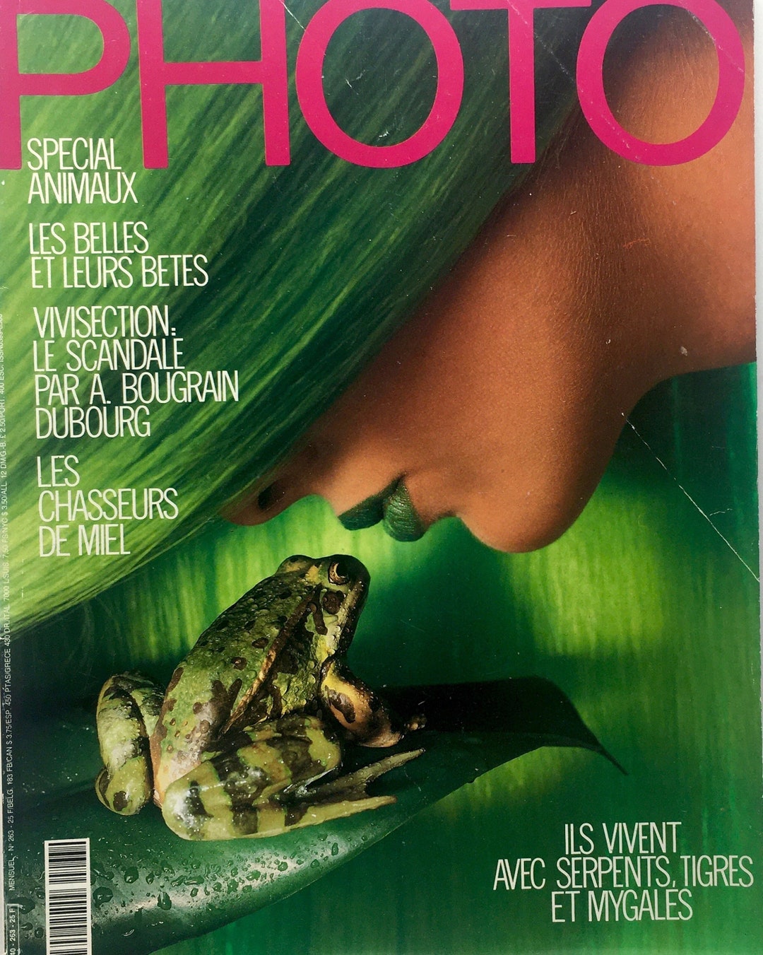 Photo Magazine French Monthly, August 1989 Special Animals 263 - Etsy