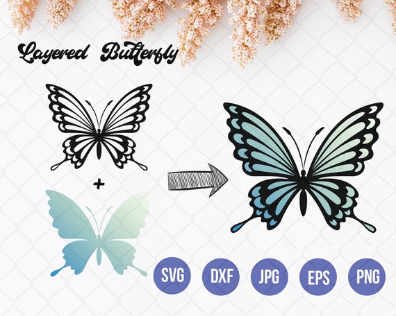 Butterfly SVG Butterfly Clipart Butterfly Layered Vector - Etsy