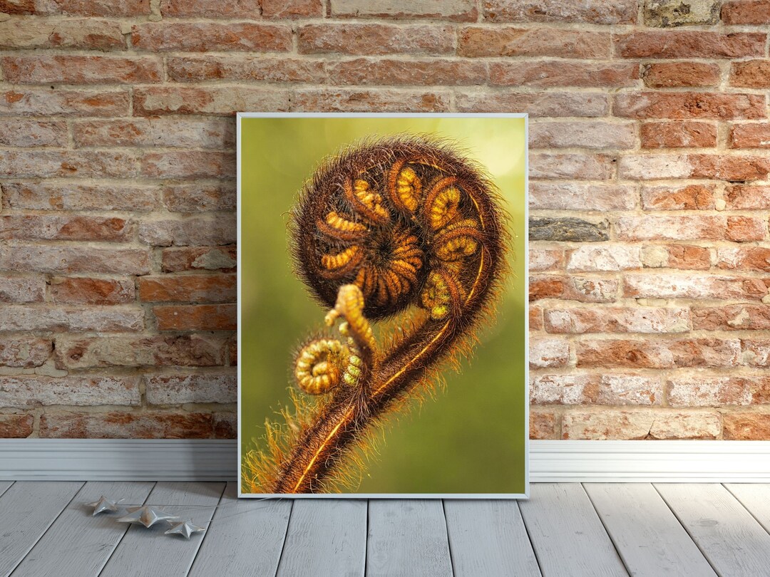 Fern Printable Wall Art Fiddlehead Fern Digital Download Woodland Green ...