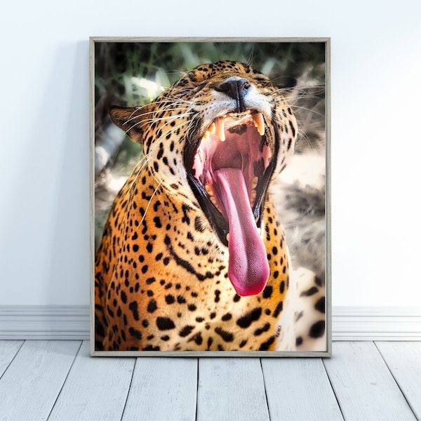Big Cats Poster - Etsy