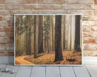 Printable Giant Sequoia Tree Poster, Sequoia National Park, California ...
