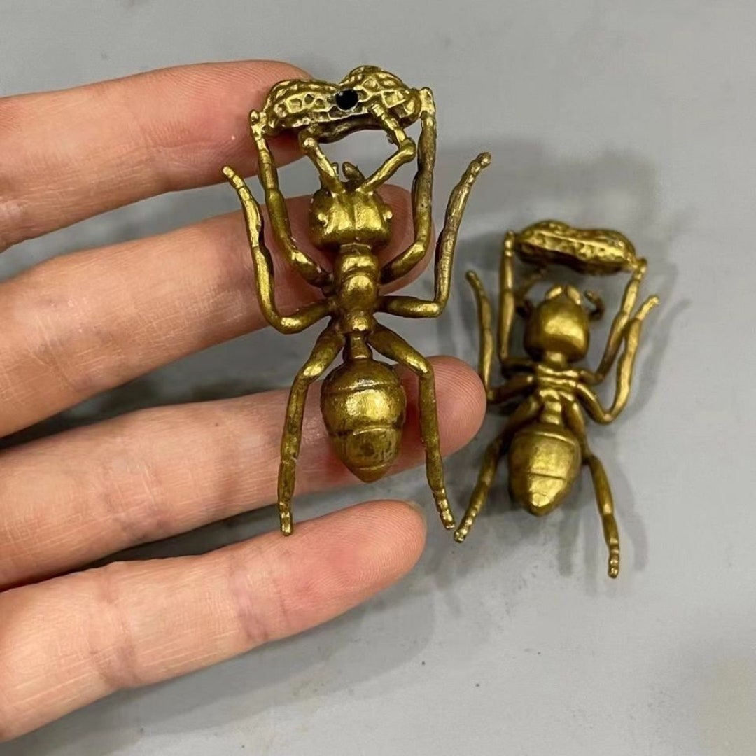 Collection of Chinese Antique a Pair Pure Brass Hand - Carved Ant Small ...