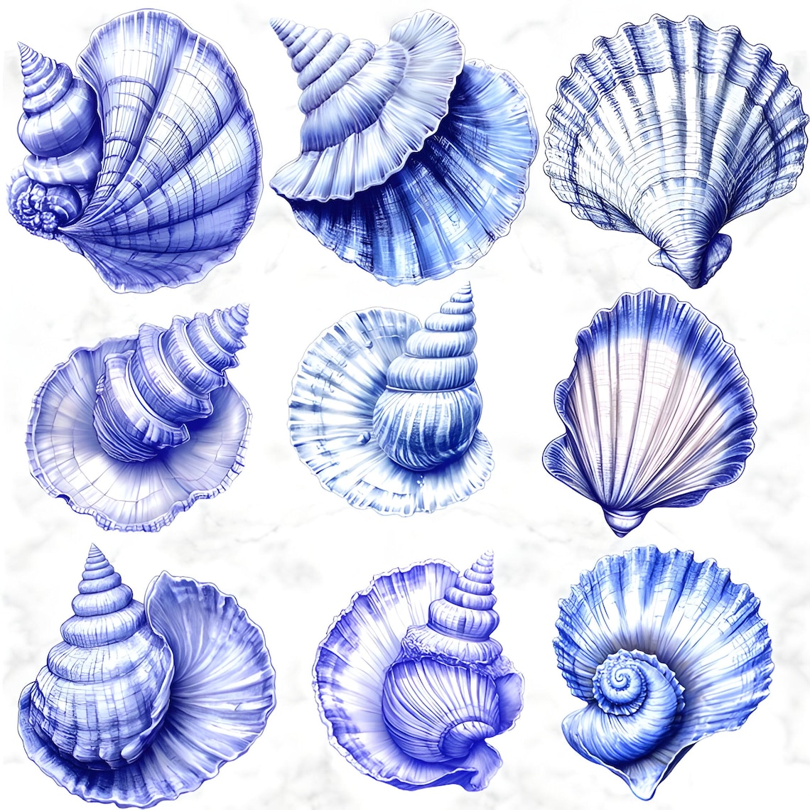 Watercolor Blue Seashell Clipart: Nautical PNG Set (digital Download ...