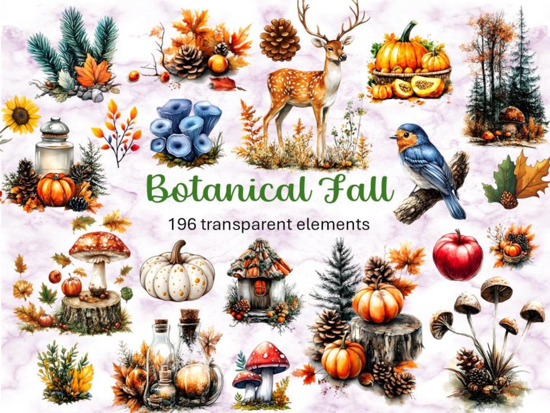 Watercolor Fall Clipart Mega Bundle: Autumn Botanical PNG (commercial ...