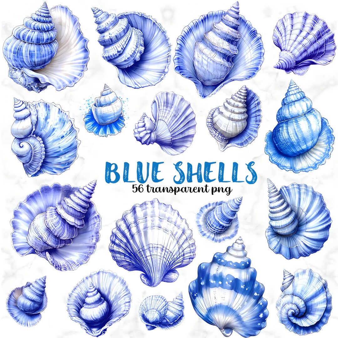 Watercolor Blue Seashell Clipart: Nautical PNG Set (digital Download ...