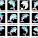 Pastel Watercolor Dolphin Clipart: Glitter Ocean Animal Graphics ...