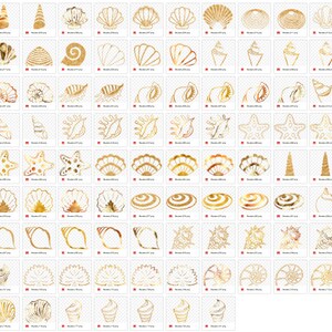Gold Shell Clipart Bundle, Transparent Golden Sea Shells Sublimation ...