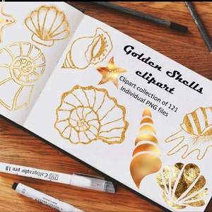 Gold Shell Clipart Bundle, Transparent Golden Sea Shells Sublimation ...