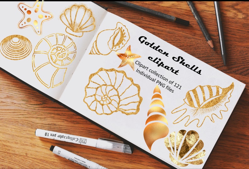 Gold Shell Clipart Bundle, Transparent Golden Sea Shells Sublimation ...