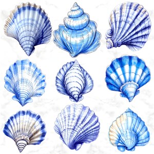 Watercolor Blue Seashell Clipart: Nautical PNG Set (digital Download ...