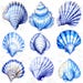Watercolor Blue Seashell Clipart: Nautical PNG Set (digital Download ...
