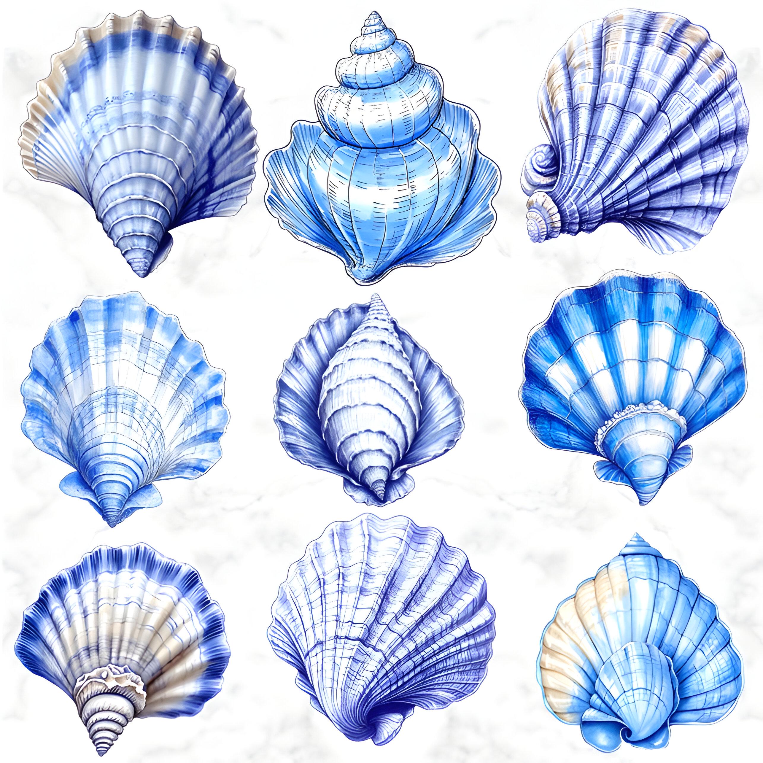 Watercolor Blue Seashell Clipart: Nautical PNG Set (digital Download ...