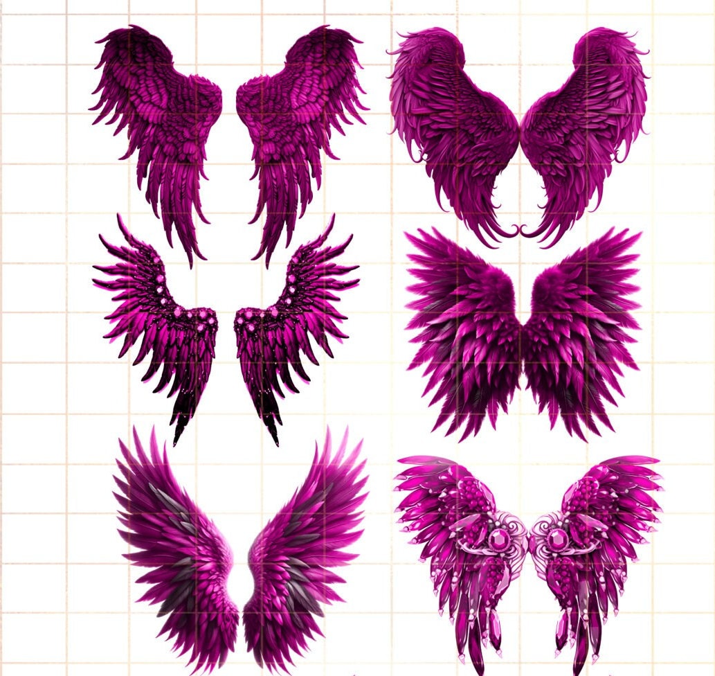 Fuchsia Angel Wings Clipart: Feather Illustration PNG (digital Download ...