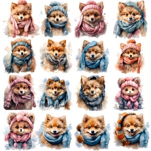 Watercolor Pomeranian Clipart, Cute Dog Illustration, Winter Puppy ...