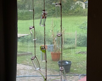 Propagation Glass Jars - Etsy